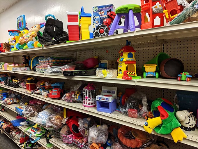 Toy story indeed! These gently-loved playthings are ready for their sequel with a new child. That plastic castle has adventures left to give.