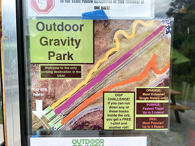 The park's track map reveals the method behind the madness—color-coded routes for different thrill levels from "mild tumble" to "complete discombobulation."
