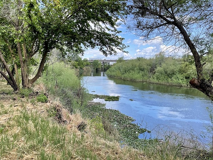 Tuolumne River's gentle flow creates a natural oasis where you can contemplate life's big questions or just watch ducks living their best drama-free lives.