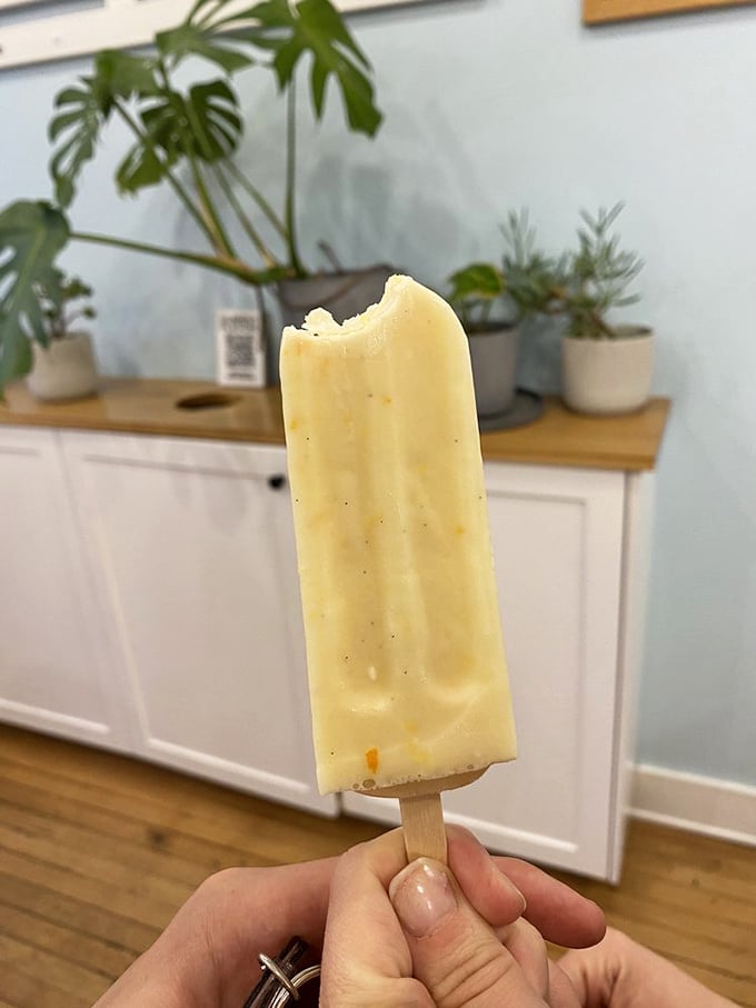 Vanilla popsicle that refuses to be basic. Like the cool kid who doesn't try too hard but somehow outshines everyone at the party.