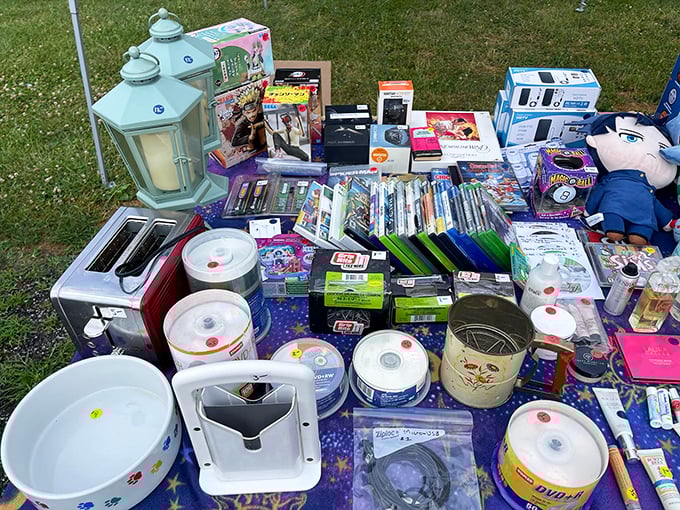 The ultimate garage sale on steroids. DVDs, kitchen gadgets, and electronics—proof that one shopper's "finally getting rid of it" is another's "just what I needed!"