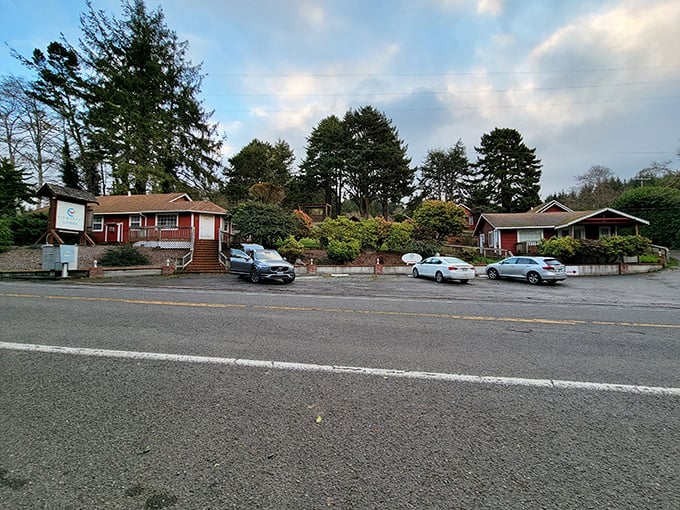 View Crest Lodge offers quintessential small-town hospitality along Trinidad's scenic Highway 101 corridor for travelers.