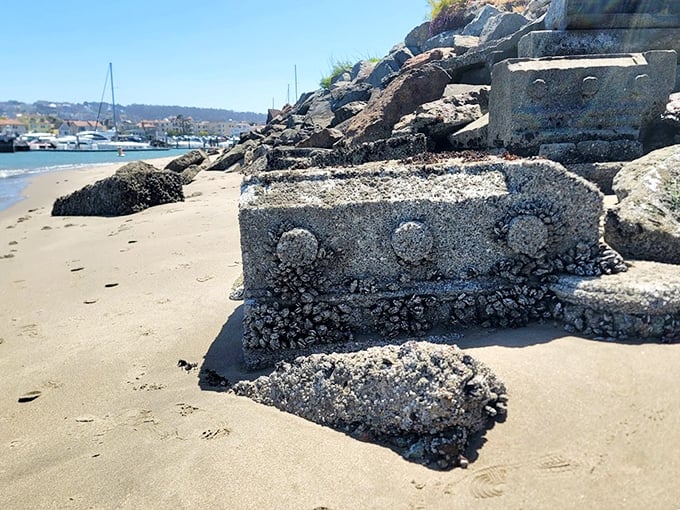 Low tide reveals the Wave Organ's foundation, like seeing backstage at a concert where water and stone are the headline acts.