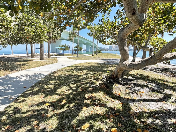 The Ringling Causeway Park frames Sarasota Bay with artistic curves – where modern architecture and natural beauty create Florida's version of a perfect marriage.