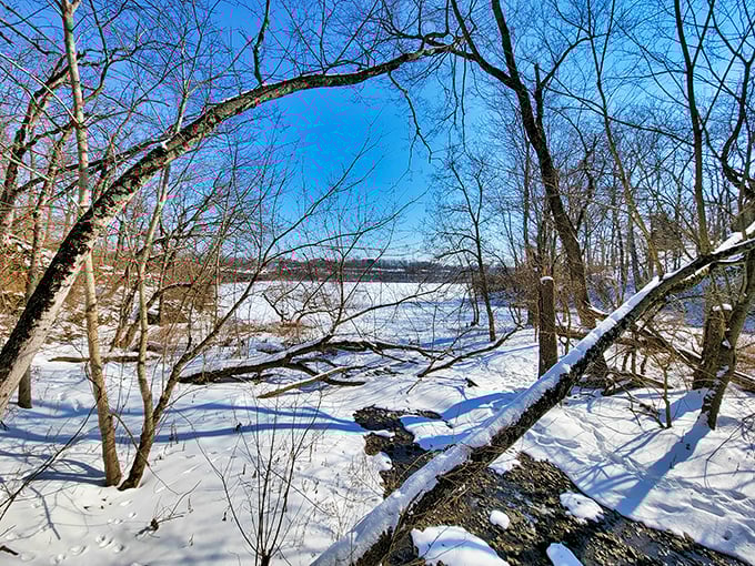 Winter transforms Hayden Falls into a snow globe come to life. The frozen landscape offers a completely different—but equally magical—experience.