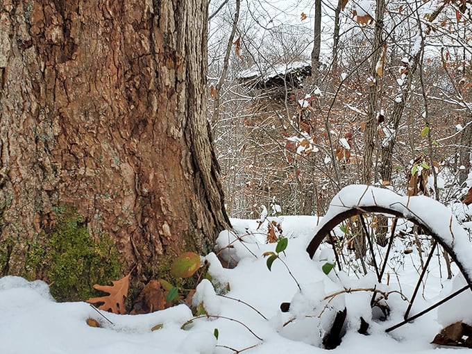 Snow blankets the forest floor while a wheel from yesteryear peeks through, creating a winter tableau straight from a Currier and Ives print.