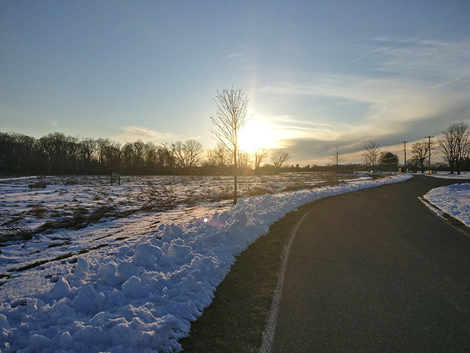 Winter transforms the park into a serene snowscape, where footprints tell stories and sunsets arrive early with dramatic flair.