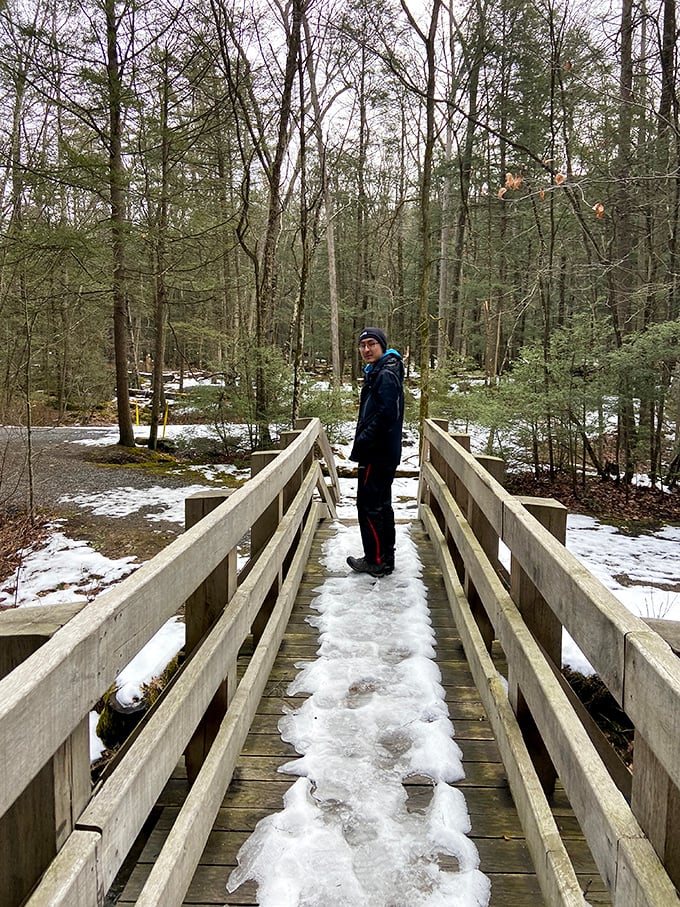 Winter transforms the park into a hushed wonderland where footsteps on snow-covered bridges echo like gentle percussion.