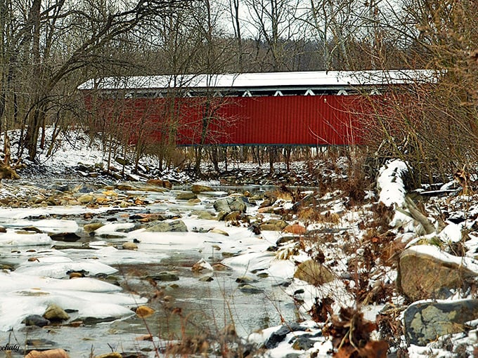 Winter reveals the bridge's stark beauty—a splash of determined color against a monochrome landscape of snow and bare branches.