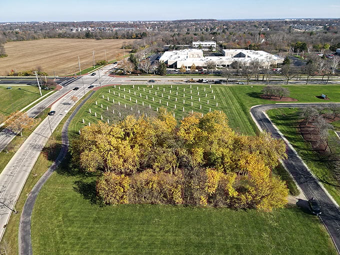 From above, the precise grid of concrete corn creates a striking pattern against the landscape—agricultural roots preserved in an artistic time capsule.