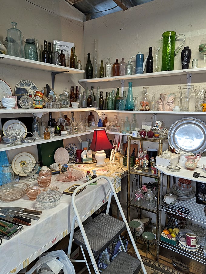 Shelves of vintage glass catch the light like jewels, each bottle holding its own liquid history.