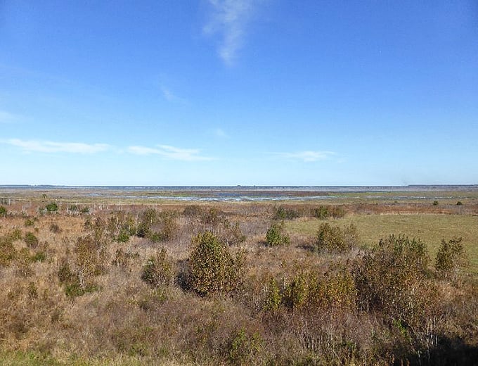 The prairie stretches to the horizon like nature's IMAX screen, displaying Florida as it appeared before mouse ears and roller coasters arrived.