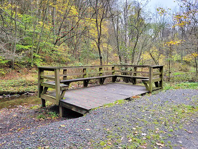 A simple wooden observation deck becomes a front-row seat to autumn's most spectacular performance—no tickets required, standing ovations encouraged.