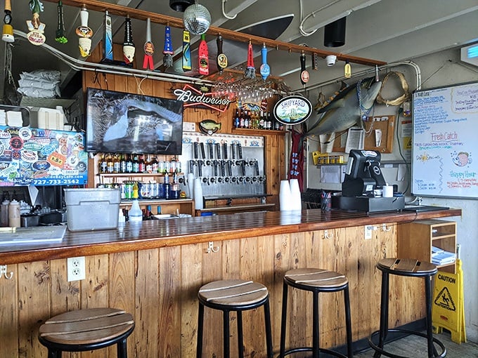 The bar's tap handles stand like soldiers ready for duty. Beer tastes better when you can see the water it was probably caught near.