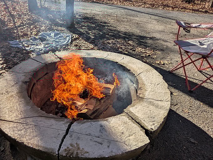Fire-gazing—humanity's original Netflix. This crackling campfire has been entertaining humans long before anyone needed a password to watch something good.