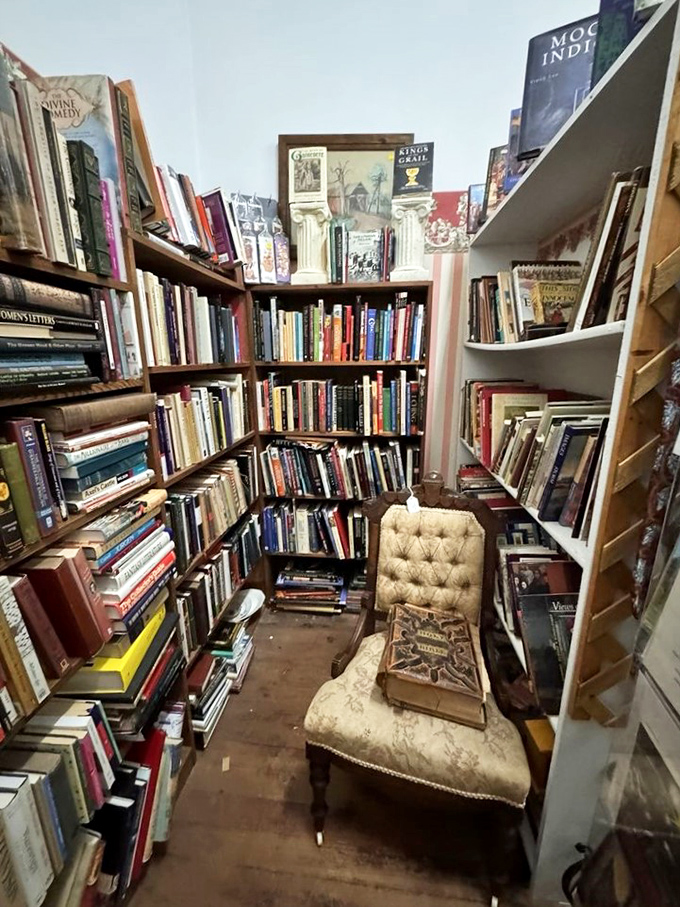 The book nook where bibliophiles disappear for hours. That tufted chair isn't just furniture—it's an invitation to literary time travel.