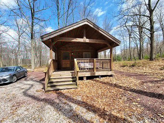 These cabins offer the perfect compromise between roughing it and actually being comfortable while doing it.