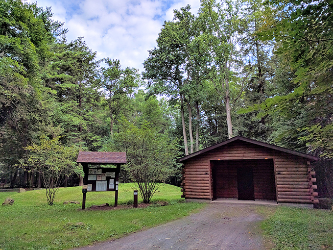 The park's rustic welcome center stands sentinel among towering pines. No fancy visitor center needed when the main attraction is right outside.