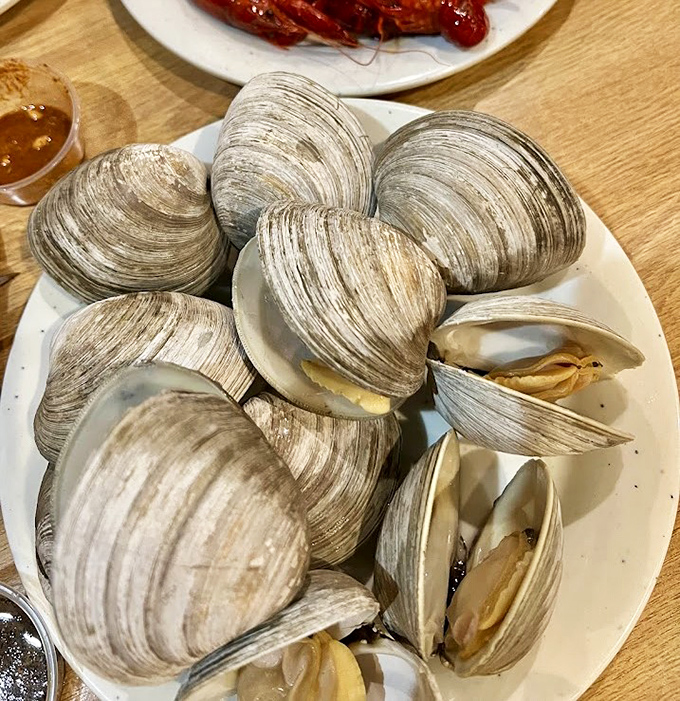 These clams aren't just fresh – they're having a family reunion on your plate, waiting to be dipped in melted butter or tangy sauce.