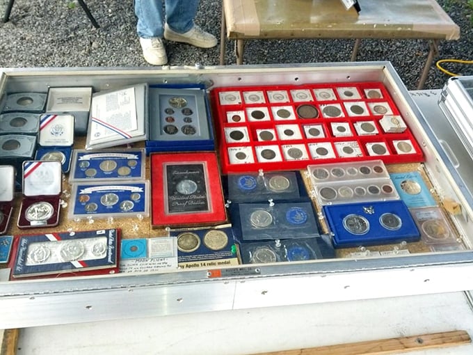 Numismatist nirvana! These carefully preserved coins and commemorative sets represent history you can hold in your hand—and potentially invest in.