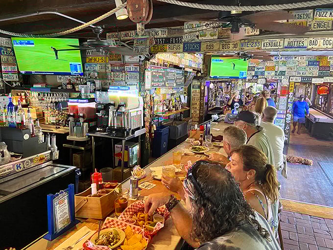 The bar where strangers become friends over shared platters of seafood. Those license plates watching overhead have witnessed countless vacation stories.