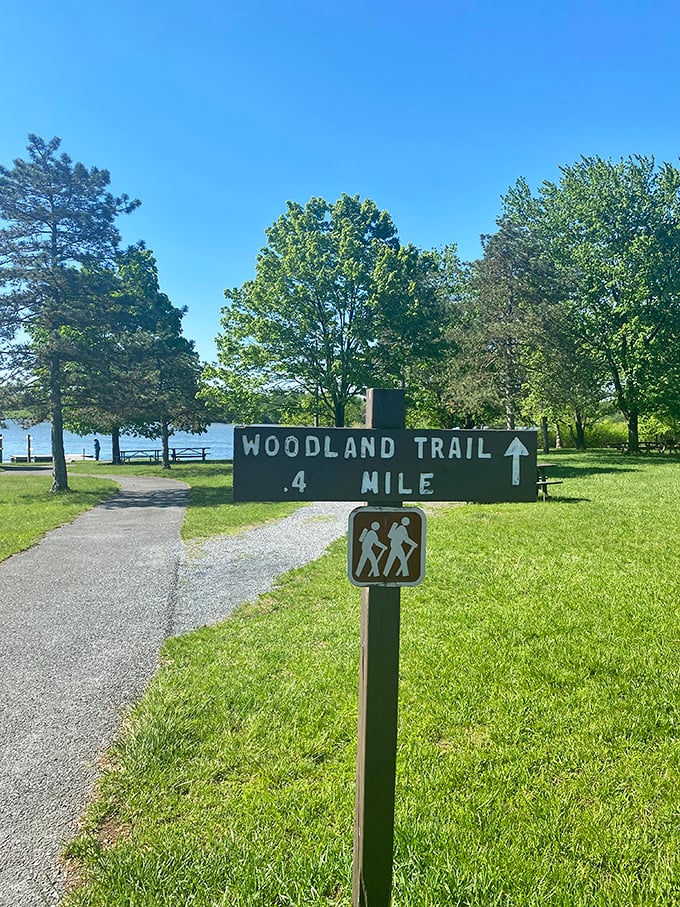 "Woodland Trail, 0.4 Mile" – the sign promises a manageable adventure, but doesn't mention the immeasurable peace you'll find along the way.