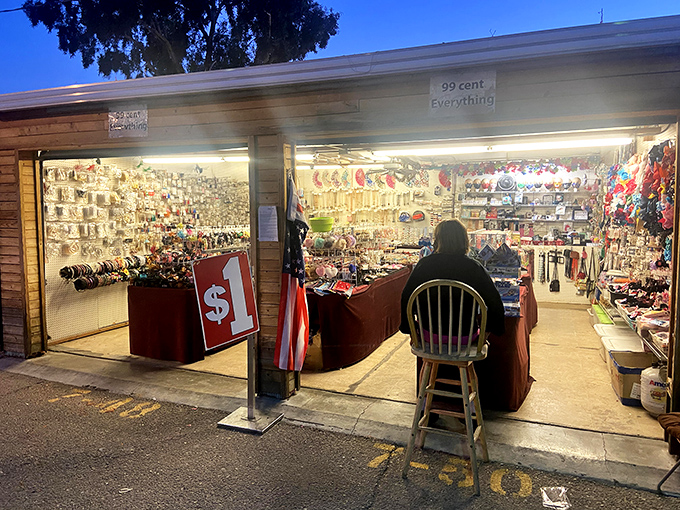 The "$1 Everything" store—where Washington goes further than anywhere else in America. Budget shopping elevated to an art form.