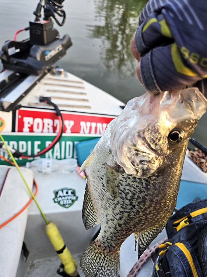 The moment of truth between angler and dinner. This fish looks as surprised about the situation as the catch of the day at a vegan restaurant.