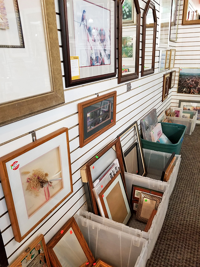Art waiting for its second act, each frame holding memories from someone else's wall. One person's discard becomes another's conversation piece.