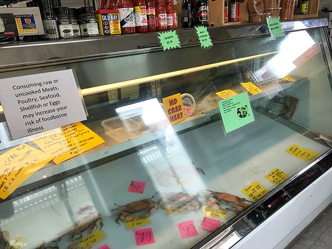 The seafood display case—where dreams are born and diets go to die. Each colorful price tag represents a different path to happiness.