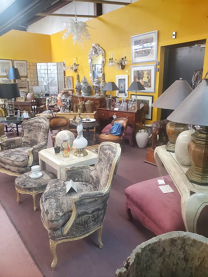 Not your average furniture showroom – these pieces have stories to tell. That yellow wall makes everything pop like a vintage magazine spread.