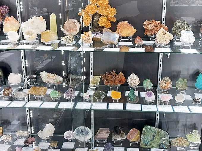 Nature's jewelry box—these mineral specimens showcase Earth's artistic side with colors and formations that outshine any human-made creation.