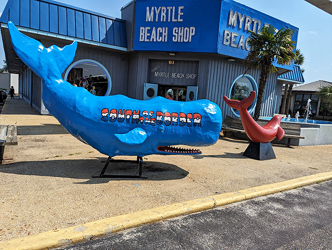 A whale of a tale sits landlocked in South Carolina, proving that marine life belongs everywhere except the ocean.