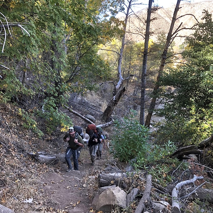 The uphill climb reveals who packed too many "just in case" snacks. These determined hikers tackle the trail's more challenging sections with full backpacks and determination.