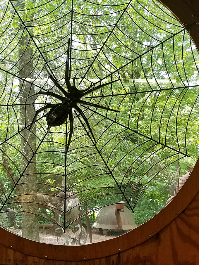 Peering through this circular window reveals an intricate metal spider web, complete with its eight-legged architect waiting patiently at center.