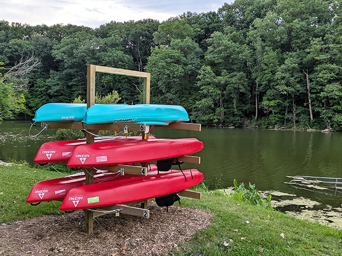 Kayak lineup looking like a colorful fleet ready to help you paddle away from your inbox. The lake promises not to judge your technique.