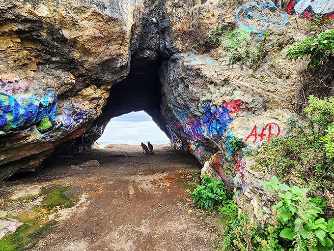 Street art meets nature's gallery in this sea cave passage – proof that even graffiti looks better with an ocean backdrop.
