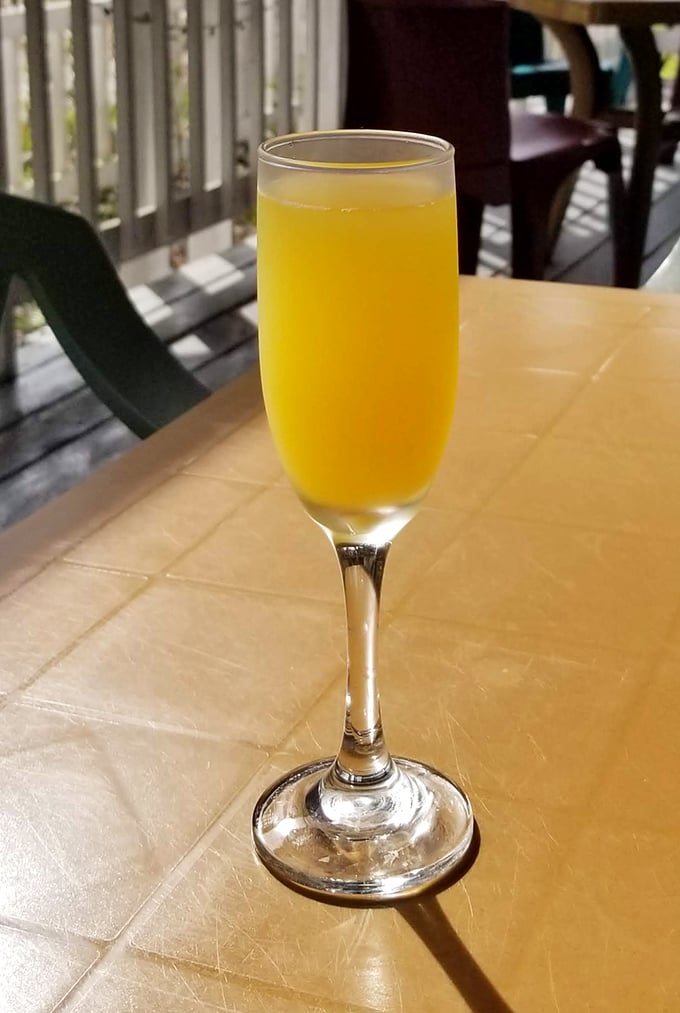 Sunshine in a glass—this mimosa on the porch is Florida's way of saying "good morning" with a little extra sparkle.