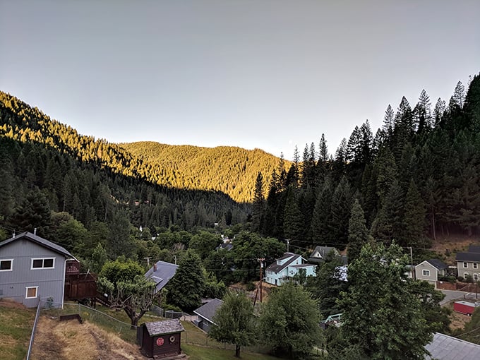 Nestled like Easter eggs in a forest basket, Downieville's homes enjoy the kind of views city dwellers pay millions to see once a year.