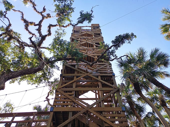This observation tower isn't just tall—it's Florida's version of a skyscraper where the elevator is your own two legs.