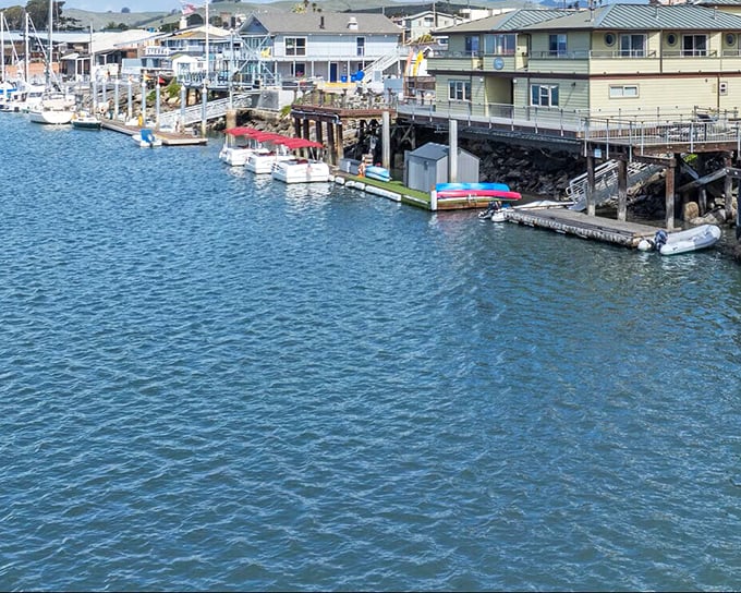 The waterfront's weathered charm speaks of decades of salty air and maritime stories—each dock board a chapter in Morro Bay's ongoing tale.