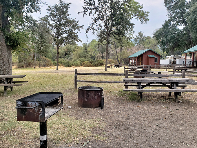 Rustic camping perfection: fire rings and picnic tables await your marshmallows and midnight stories under a canopy of stars.