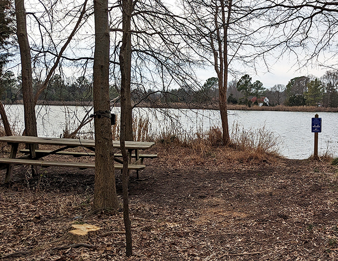 A picnic table with million-dollar waterfront views – no reservation required, though the birds might join uninvited.