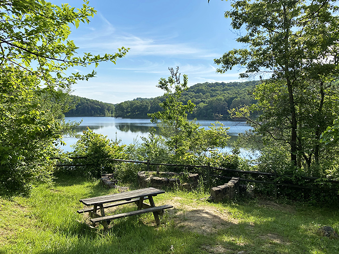 The best dining room view in Ohio doesn't require reservations. Just a picnic basket and appreciation for nature's splendor.