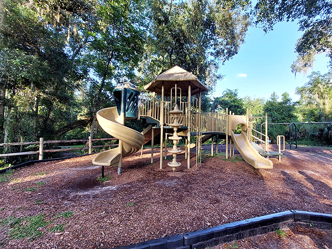 This playground proves nature and fun aren't mutually exclusive. Kids climb and slide while surrounded by more biodiversity than a science textbook.