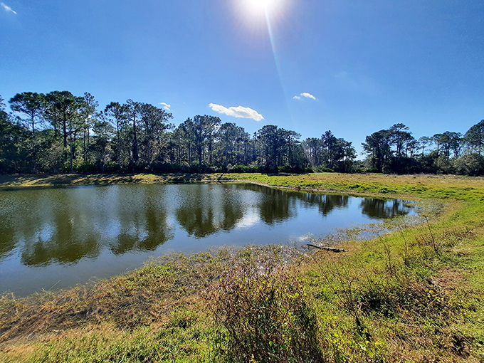 Florida's natural water features aren't just pretty—they're practical. This pond reflects both sky and the state's clever water management.