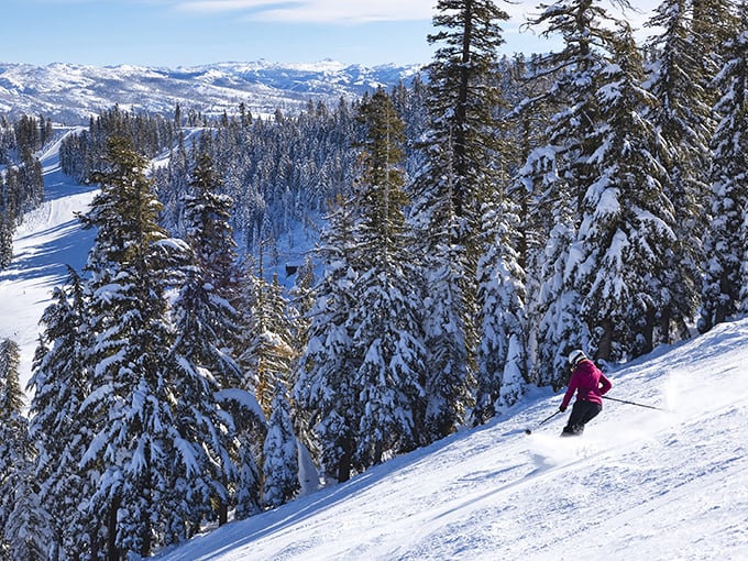 Carving through pristine powder with endless Sierra views. This skier is experiencing what snow enthusiasts call "earning their après-ski hot chocolate."