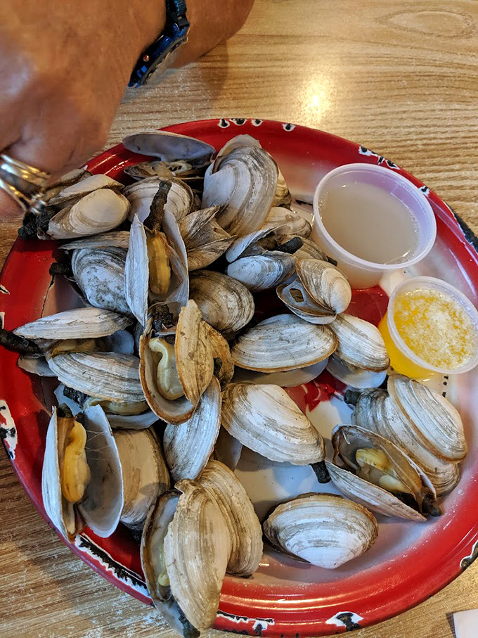 Steamed clams in their natural glory – little treasures waiting to be dipped in melted butter and transported directly to your happy place.