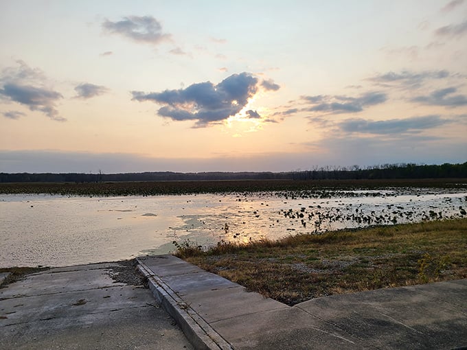 Sunset at the wetlands area—where the sky performs its nightly watercolor demonstration and even the birds stop to applaud.