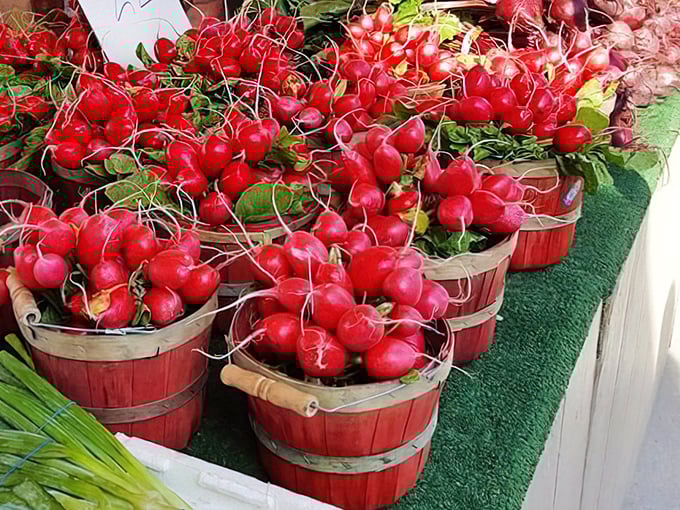 Ruby-red radishes burst from wooden baskets like edible jewels. Farm-fresh produce creates pops of color that draw shoppers like bees to the sweetest flowers in the garden.